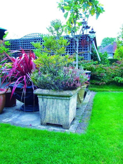 How to Fill a Large Planter or Urn | UK Guide